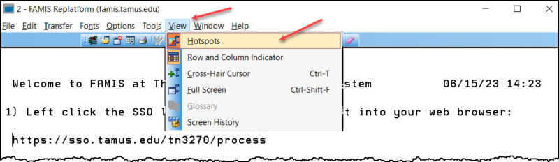 FAMIS Production-Creating a New FAMIS Connection Profile