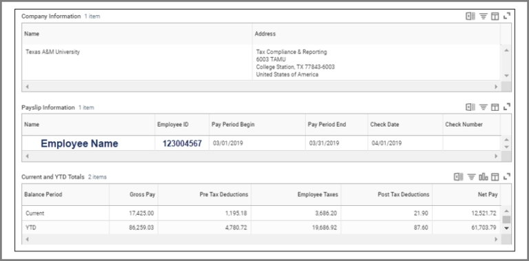 Reading Your Workday Payslip